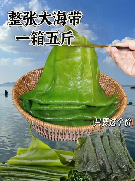 海带能降胆固醇吗_海带怎么吃最健康-第3张图片-山城妙识 海带能降胆固醇吗_海带怎么吃最健康-第3张图片-山城妙识