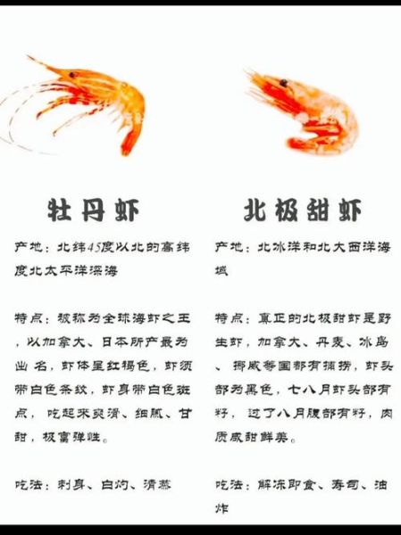 虾的营养价值高吗_虾的功效与作用有哪些-第2张图片-山城妙识 虾的营养价值高吗_虾的功效与作用有哪些-第2张图片-山城妙识