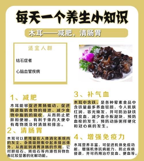 木耳的功效与作用_木耳怎么吃最补血-第1张图片-山城妙识