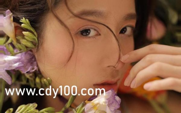 土豆网在线看电视剧_土豆网电视剧怎么免费看-第2张图片-山城妙识