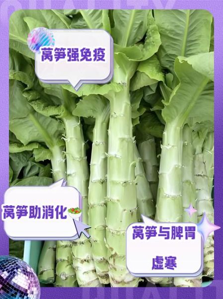 莴苣可以生吃吗_生吃莴苣安全吗-第2张图片-山城妙识