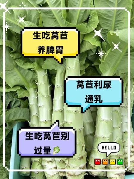 莴苣可以生吃吗_生吃莴苣安全吗-第1张图片-山城妙识