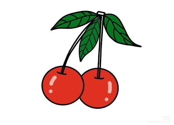樱桃简笔画怎么画_樱桃图片简笔画教程-第3张图片-山城妙识
