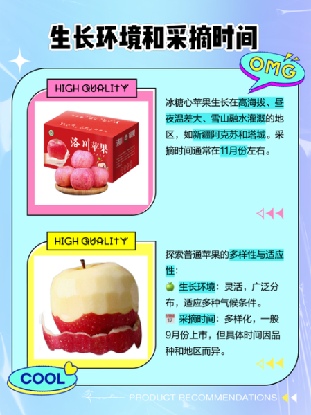 冰糖心苹果的营养价值_冰糖心苹果有哪些营养成分-第2张图片-山城妙识 冰糖心苹果的营养价值_冰糖心苹果有哪些营养成分-第2张图片-山城妙识