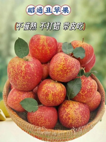 冰糖心苹果的营养价值_冰糖心苹果有哪些营养成分-第3张图片-山城妙识 冰糖心苹果的营养价值_冰糖心苹果有哪些营养成分-第3张图片-山城妙识