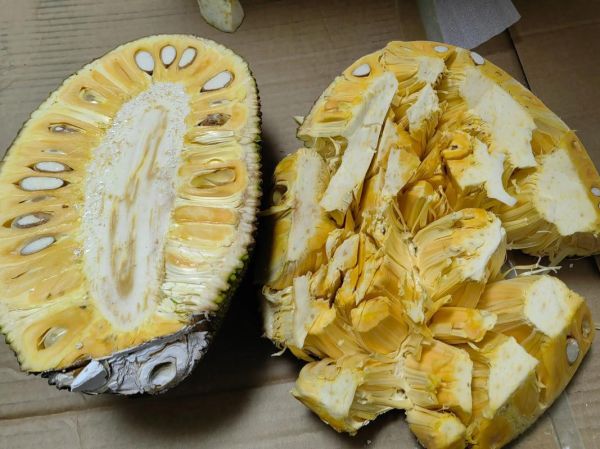 菠萝蜜怎么剥_菠萝蜜剥开技巧-第1张图片-山城妙识