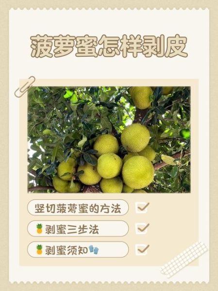 菠萝蜜怎么剥_菠萝蜜剥开技巧-第2张图片-山城妙识