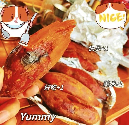 烤箱烤红薯怎么烤才好吃_烤红薯温度时间设置-第1张图片-山城妙识 烤箱烤红薯怎么烤才好吃_烤红薯温度时间设置-第1张图片-山城妙识