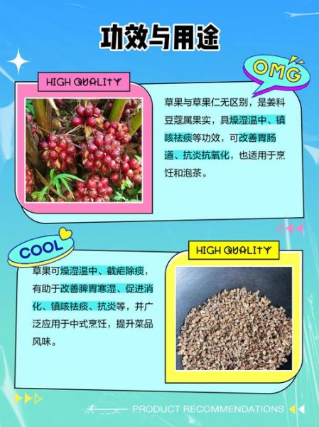 草果仁和草果有区别吗_草果仁与草果功效差异-第1张图片-山城妙识