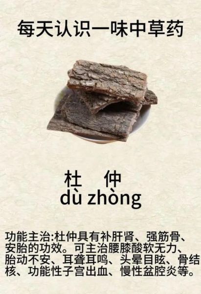 杜仲图片长什么样_杜仲功效图片有哪些作用-第1张图片-山城妙识