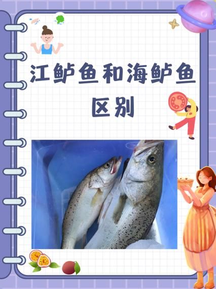 鲈鱼是海鱼还是河鱼_淡水鲈鱼和海鲈鱼的区别-第1张图片-山城妙识 鲈鱼是海鱼还是河鱼_淡水鲈鱼和海鲈鱼的区别-第1张图片-山城妙识