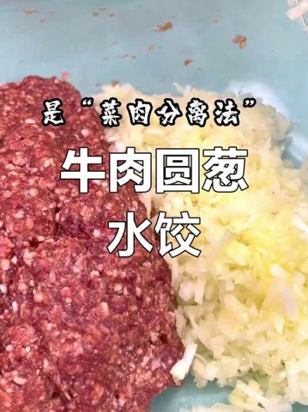 牛肉大葱馅饺子怎么做_牛肉大葱饺子馅怎么调-第3张图片-山城妙识