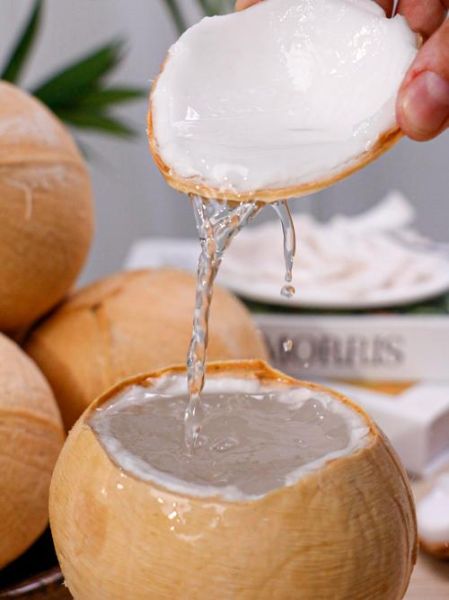 椰子水的功效与作用_椰子水的禁忌有哪些-第2张图片-山城妙识