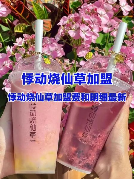 开一家烧仙草店需要多少钱_烧仙草店投资成本明细-第2张图片-山城妙识