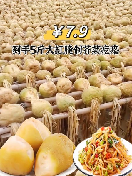 芥蓝头怎么炒好吃_芥蓝头功效与作用-第2张图片-山城妙识