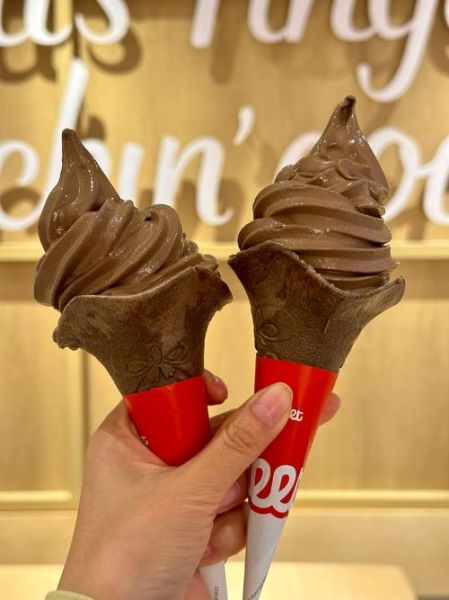 巧克力冰淇淋哪个牌子好吃_巧克力冰淇淋热量高吗-第1张图片-山城妙识