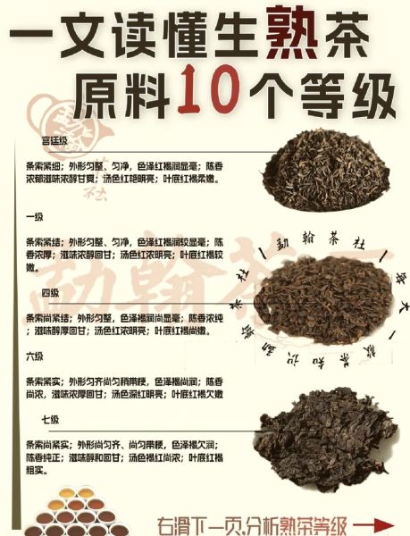 普洱茶属于什么茶叶_普洱是黑茶还是单独分类-第1张图片-山城妙识