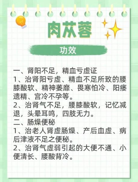 肉苁蓉的副作用有哪些_肉苁蓉吃多了会怎样-第3张图片-山城妙识