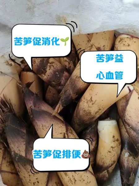 苦笋的功效与作用_苦笋怎么吃最健康-第2张图片-山城妙识
