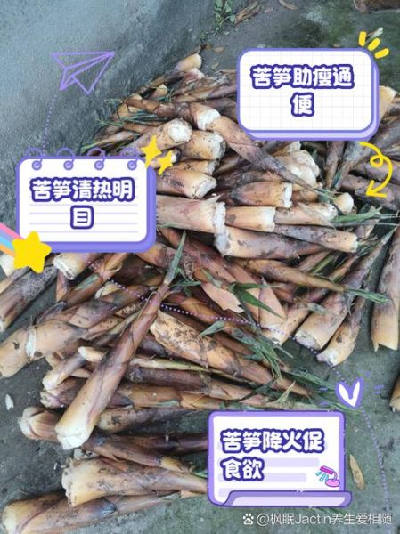 苦笋的功效与作用_苦笋怎么吃最健康-第1张图片-山城妙识
