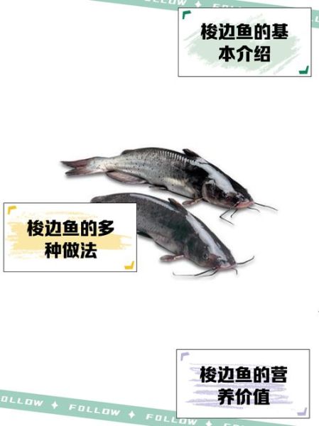 梭边鱼怎么做好吃_梭边鱼的做法大全家常-第1张图片-山城妙识