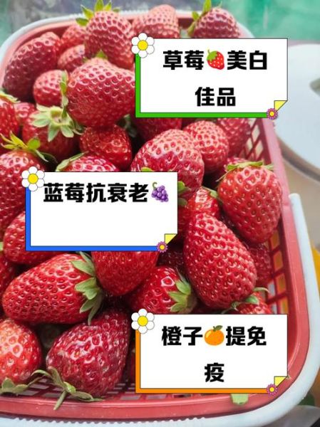 美容养颜的食物有哪些_吃什么对皮肤好-第3张图片-山城妙识