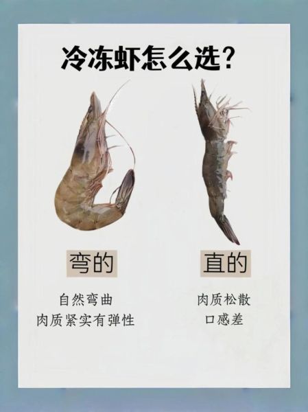大虾图片大全_如何挑选高清大图-第2张图片-山城妙识