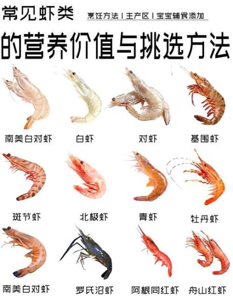 大虾图片大全_如何挑选高清大图-第1张图片-山城妙识