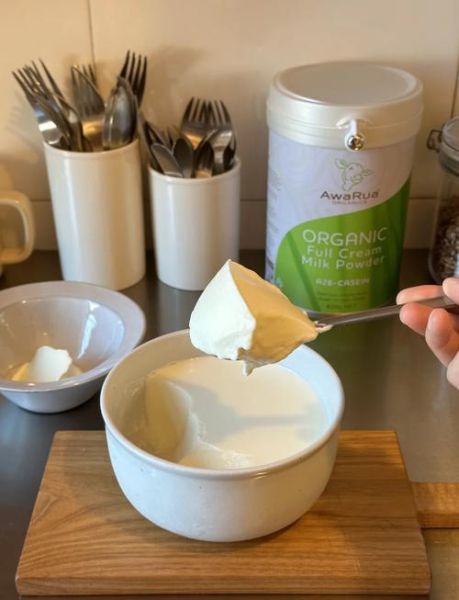 奶粉怎么做酸奶_奶粉做酸奶比例是多少-第3张图片-山城妙识