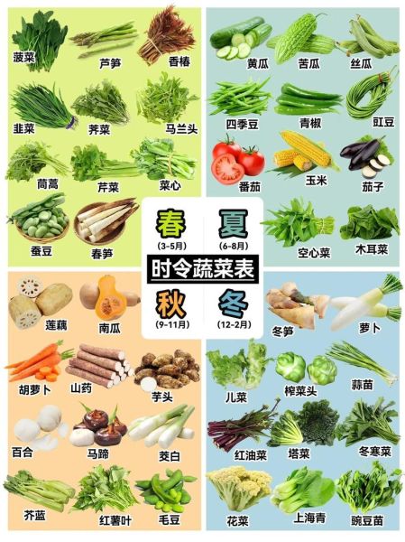 春季时令蔬菜有哪些_春季时令蔬菜怎么做好吃-第1张图片-山城妙识