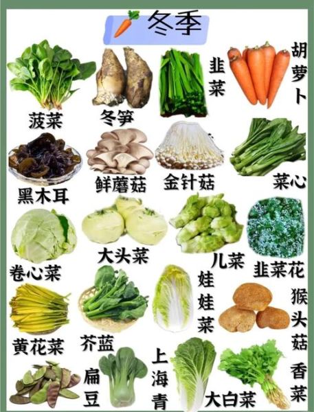 蔬菜图片大全大图真实_如何辨别蔬菜新鲜度-第2张图片-山城妙识