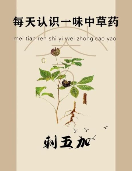 刺五加叶的功效与作用_刺五加叶的禁忌人群-第2张图片-山城妙识 刺五加叶的功效与作用_刺五加叶的禁忌人群-第2张图片-山城妙识