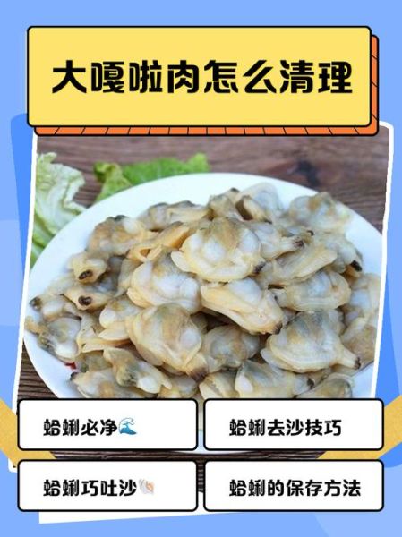蛤蜊怎么清洗_蛤蜊去沙最快的方法-第3张图片-山城妙识