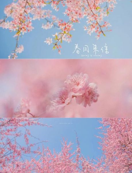春季图片怎么拍好看_春季图片拍摄技巧-第3张图片-山城妙识 春季图片怎么拍好看_春季图片拍摄技巧-第3张图片-山城妙识
