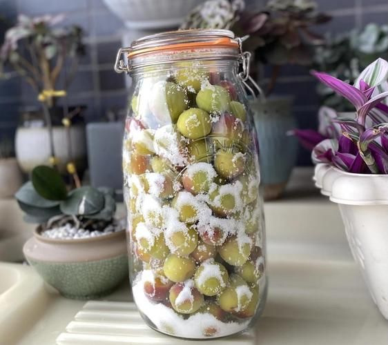 梅子醋怎么做_梅子醋的正确做法-第1张图片-山城妙识 梅子醋怎么做_梅子醋的正确做法-第1张图片-山城妙识