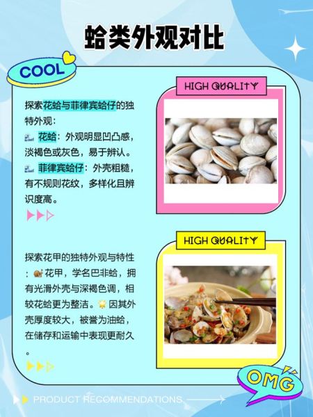 蚬子和花甲的区别_哪个更鲜美-第1张图片-山城妙识