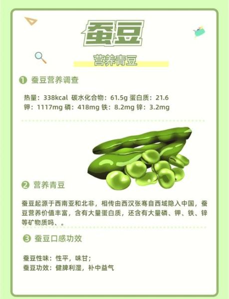 蚕豆的营养价值_蚕豆吃了有什么好处-第3张图片-山城妙识