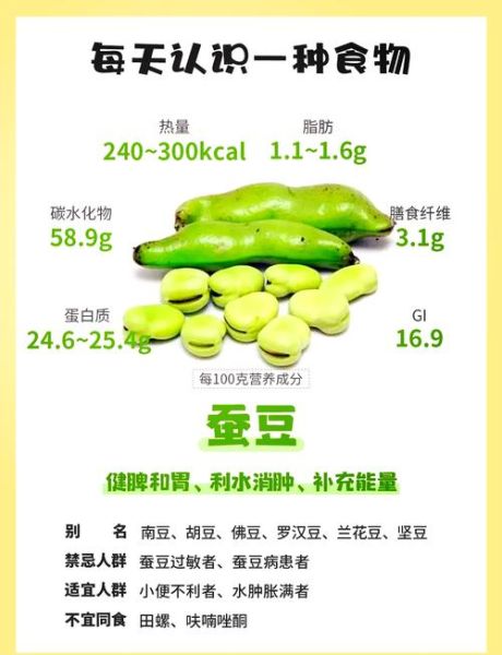 蚕豆的营养价值_蚕豆吃了有什么好处-第1张图片-山城妙识