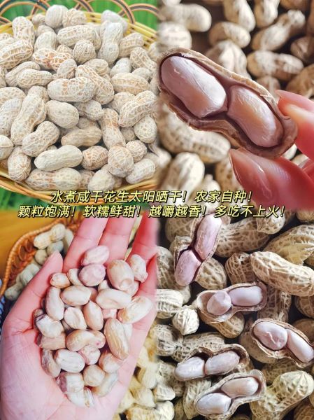 干花生煮之前要泡吗_干花生泡多久才软-第3张图片-山城妙识