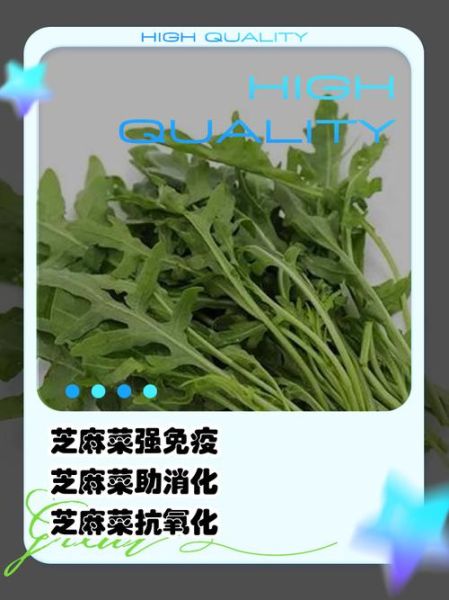 芝麻菜什么时候种_芝麻菜怎么种才高产-第2张图片-山城妙识