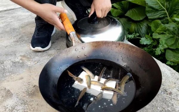 泥鳅钻豆腐是真的吗_泥鳅钻豆腐原理揭秘-第2张图片-山城妙识 泥鳅钻豆腐是真的吗_泥鳅钻豆腐原理揭秘-第2张图片-山城妙识