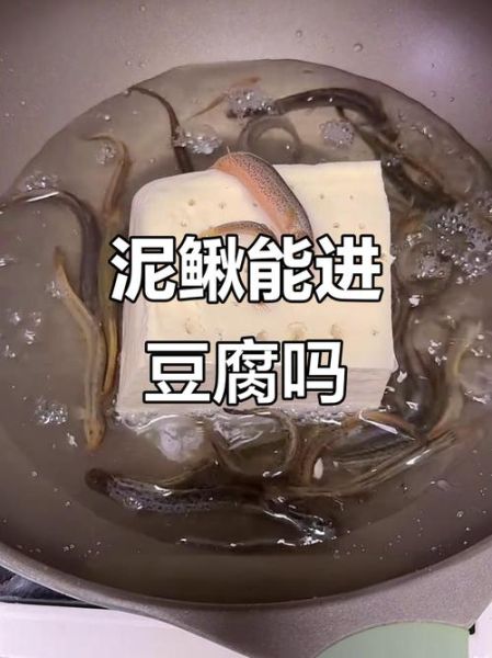 泥鳅钻豆腐是真的吗_泥鳅钻豆腐原理揭秘-第3张图片-山城妙识 泥鳅钻豆腐是真的吗_泥鳅钻豆腐原理揭秘-第3张图片-山城妙识