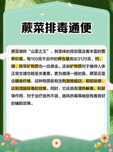 蕨菜的功效与作用_蕨菜怎么吃最健康-第1张图片-山城妙识 蕨菜的功效与作用_蕨菜怎么吃最健康-第1张图片-山城妙识