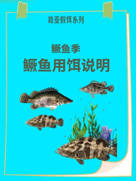 丁桂鱼用什么饵料钓_丁桂鱼饵料配方大全-第2张图片-山城妙识 丁桂鱼用什么饵料钓_丁桂鱼饵料配方大全-第2张图片-山城妙识