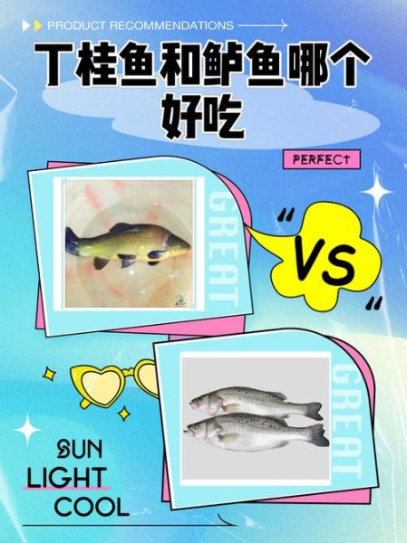 丁桂鱼用什么饵料钓_丁桂鱼饵料配方大全-第3张图片-山城妙识 丁桂鱼用什么饵料钓_丁桂鱼饵料配方大全-第3张图片-山城妙识