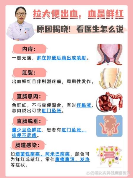 鲜红是什么原因_鲜红和暗红区别-第3张图片-山城妙识 鲜红是什么原因_鲜红和暗红区别-第3张图片-山城妙识