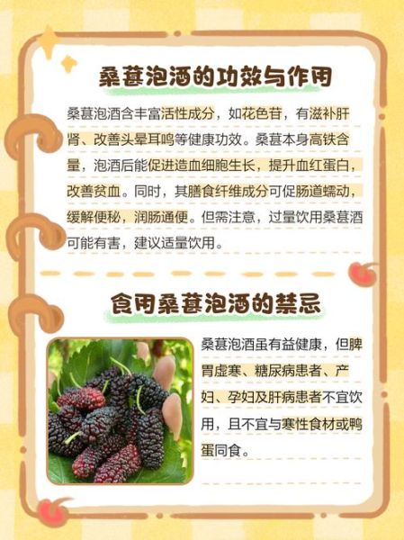 桑葚酒的做法比例是多少_桑葚酒泡多久能喝-第3张图片-山城妙识