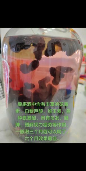 桑椹酒怎么做_桑椹酒的功效与作用-第1张图片-山城妙识 桑椹酒怎么做_桑椹酒的功效与作用-第1张图片-山城妙识