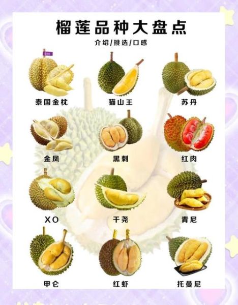 热带水果有哪些_热带水果营养价值排行榜-第1张图片-山城妙识 热带水果有哪些_热带水果营养价值排行榜-第1张图片-山城妙识