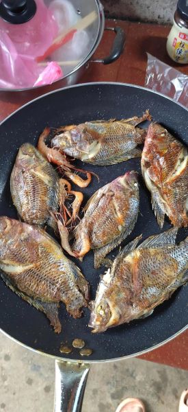 煎鱼怎么不粘锅_煎鱼不粘锅用什么锅-第2张图片-山城妙识